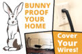 The Complete Guide to Bunny Proof Your Home