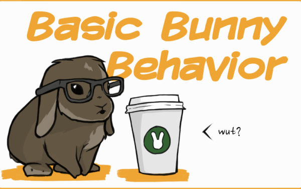 Rabbit Body Language: An Illustrated Guide