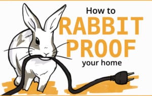 5 Easy DIY Rabbit Toys (step-by-step instructions and pictures)