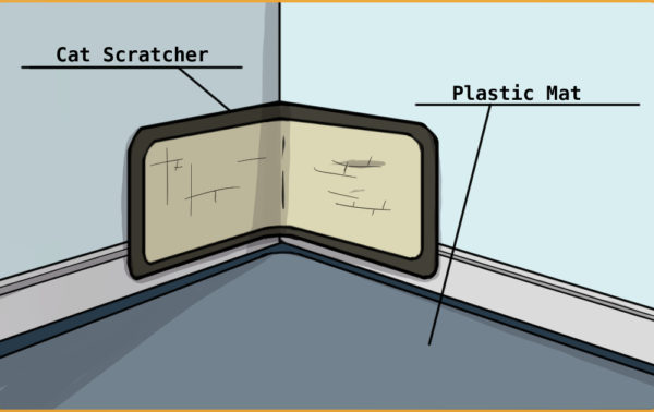 How to Solve Common Bunny Behavior Problems