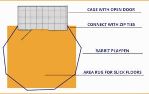 Helping Obese Rabbits Lose Weight