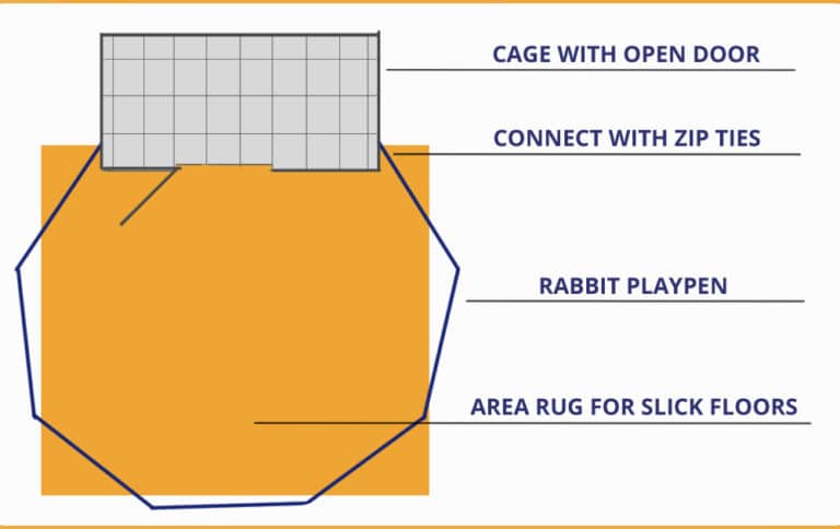 6 Reasons Rabbits Will Flip Over Their Food and Water Bowls