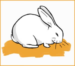 Recognizing Depression in Rabbits