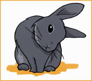 My Rabbit is Laying on Their Side. Are They Okay?