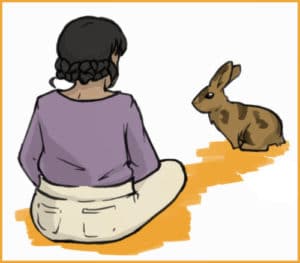 When Rabbits Bite: How to Bond With Aggressive Rabbits