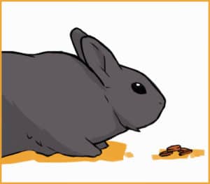 Can a Rabbit Die From Being Scared?