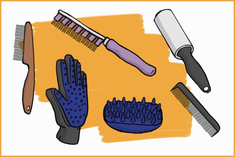 The Complete Guide to Grooming Your Rabbit (brushing, nail clipping ...