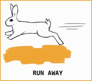 How Do Rabbits Show Fear or Anxiety?
