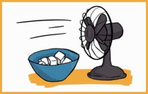 12 Tips to Keep Cool in the Summer: A Rabbit Survival Guide