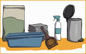 Rabbit Care: The Complete Guide