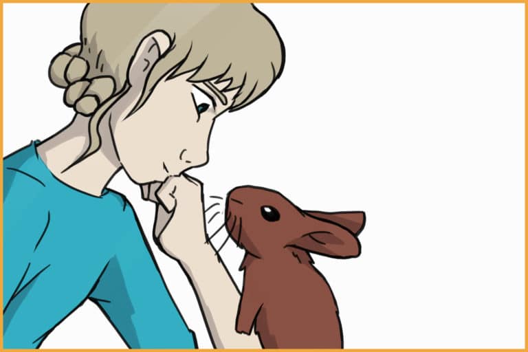 4 Tricks to Teach Your Rabbit: A Step-By-Step Guide