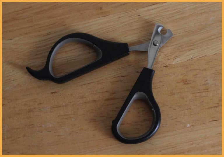 Recommended Rabbit Grooming Products - The Bunny Lady