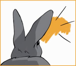 Why Do Rabbits Thump?