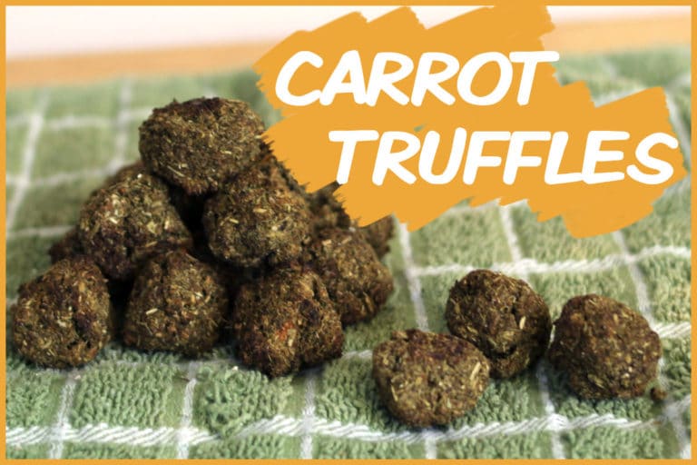 5 Homemade Rabbit Treats To Make For Your Bunny