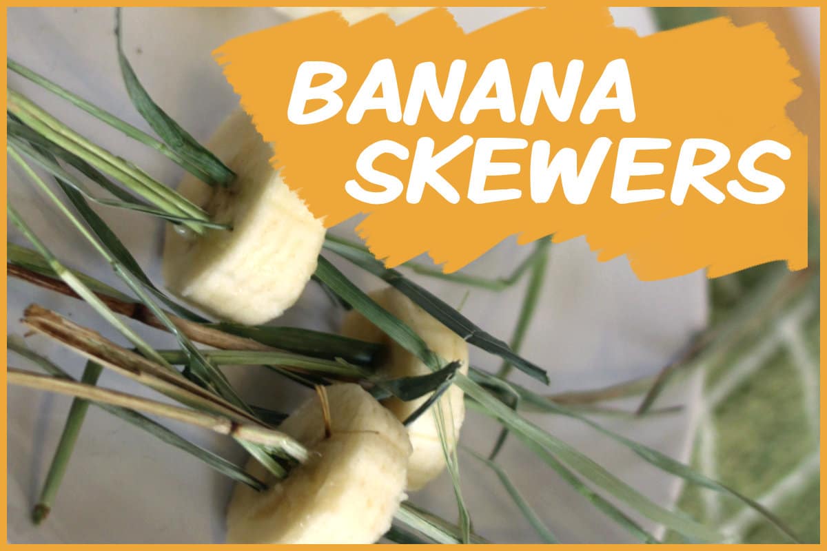 5 Homemade Rabbit Treats To Make For Your Bunny