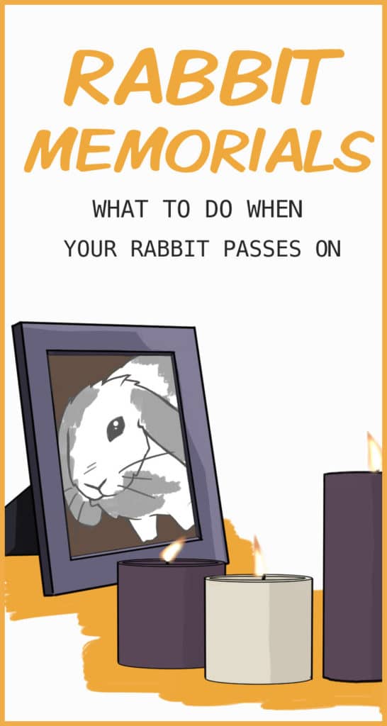 Rabbit Memorials: How To Deal With the Loss of a Pet Rabbit