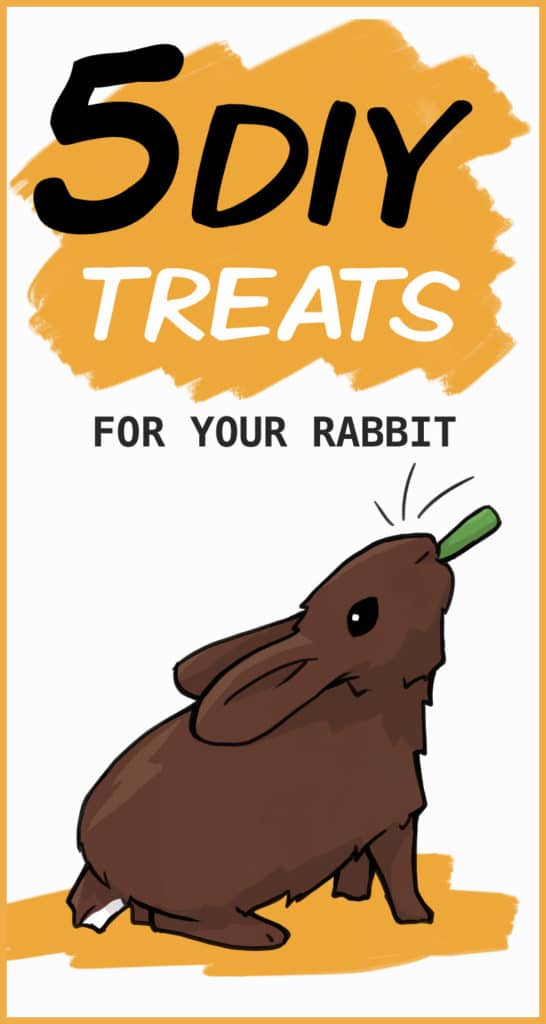 5 Homemade Rabbit Treats To Make For Your Bunny