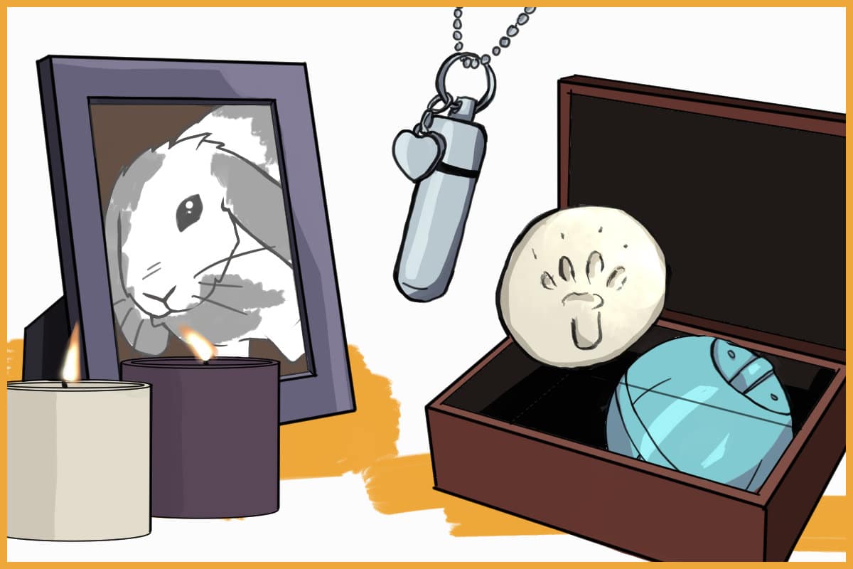 Rabbit Memorials: How To Deal With the Loss of a Pet Rabbit