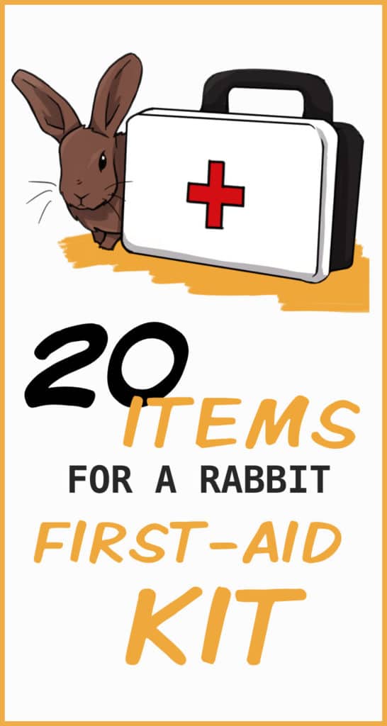 20 Items To Prepare In Your Rabbit's First Aid Kit