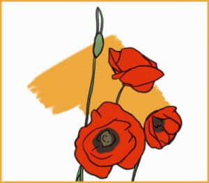 20 Plants that are Poisonous to Rabbits