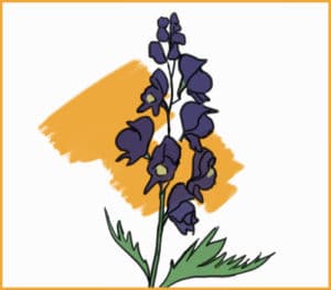 20 Plants that are Poisonous to Rabbits