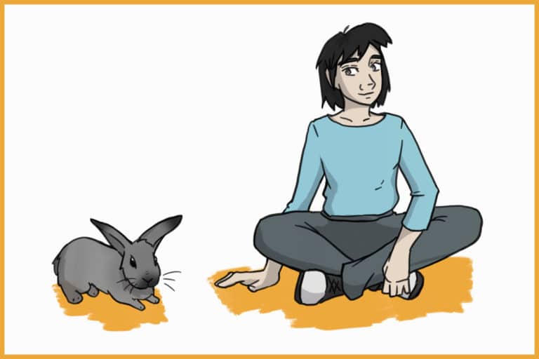15 Ways to Reduce Stress in Rabbits