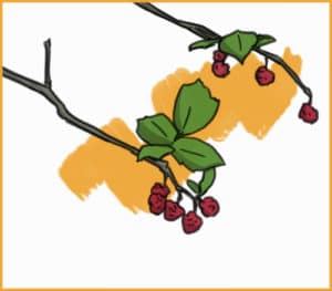 10 Types of Safe Wood for Rabbits to Chew On