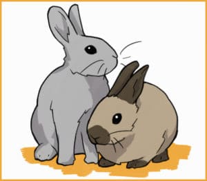 Recognizing Depression in Rabbits