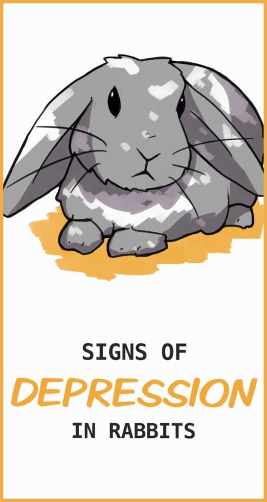 Recognizing Depression in Rabbits