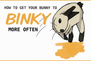 What is a Bunny Binky? (that weird twist and jump)