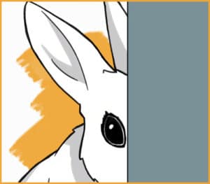 5 Steps to Calm Down an Fearful Rabbit