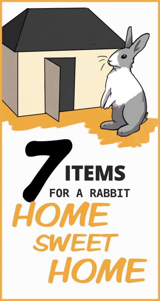 7 Essential Supplies for a Rabbit Enclosure