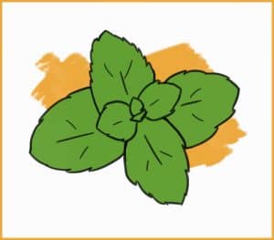 Healthy Herbs Your Rabbit Can Eat (and their medicinal properties)