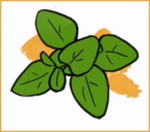 Healthy Herbs Your Rabbit Can Eat (and their medicinal properties)