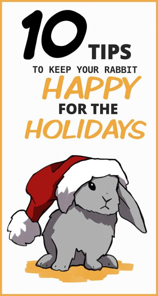 11 Tips to Keep Your Rabbit Happy During the Holidays