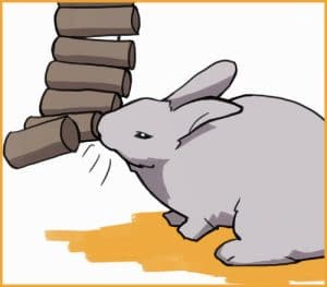 DIY Rabbit Digging Box