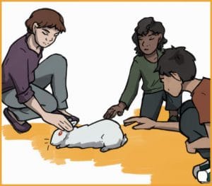 Emotional Support Rabbits: What You Need to Know