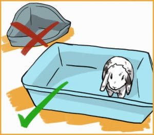 What to Use for Your Rabbit's Litter (and what NOT to use)