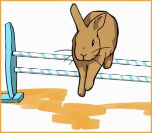 How to Train Rabbits to Jump Hurdles