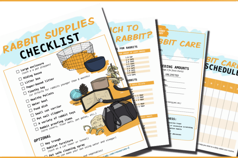 The Complete Rabbit Care Checklist for Happy House Rabbits