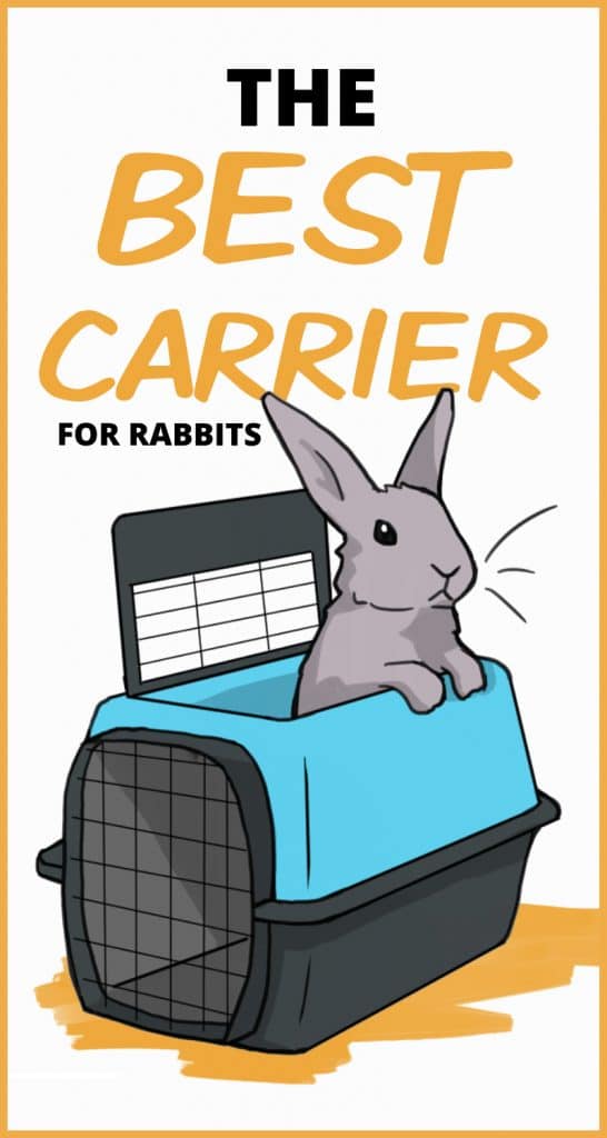 Choosing the Safest Carrier for Your Pet Rabbit