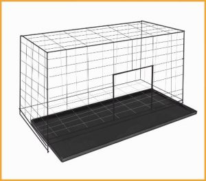 How to Clean a Rabbit Cage or Habitat