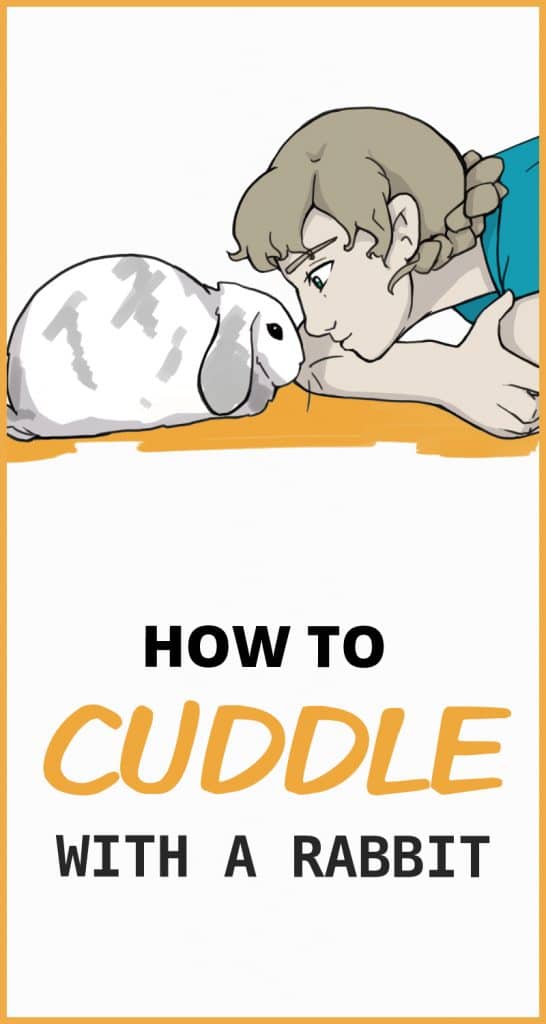 How to Cuddle Rabbits Without Scaring Them