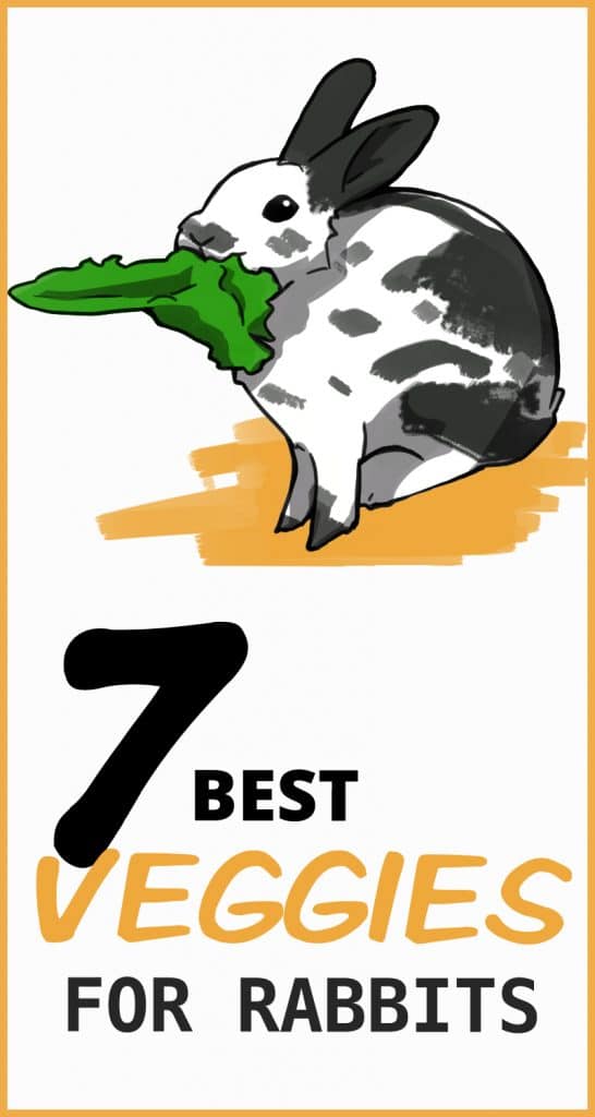 7 Best Vegetables for Your Pet Rabbit