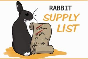 Rabbit Supply List