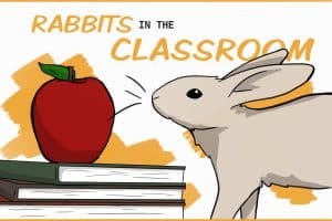 Why Rabbits Are (usually) Not Good Classroom Pets