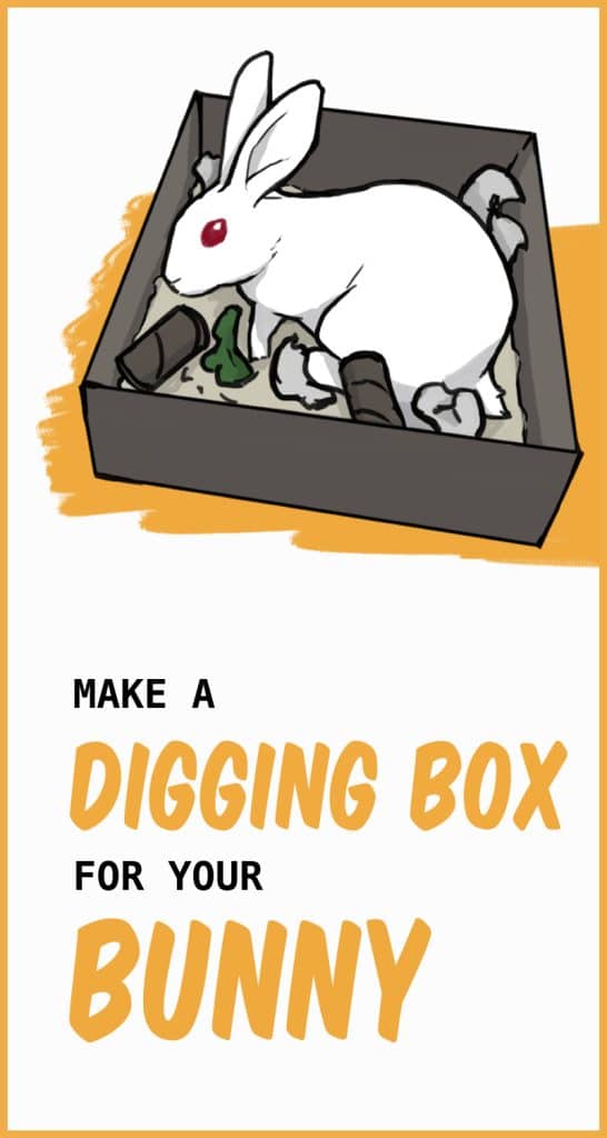 DIY Rabbit Digging Box