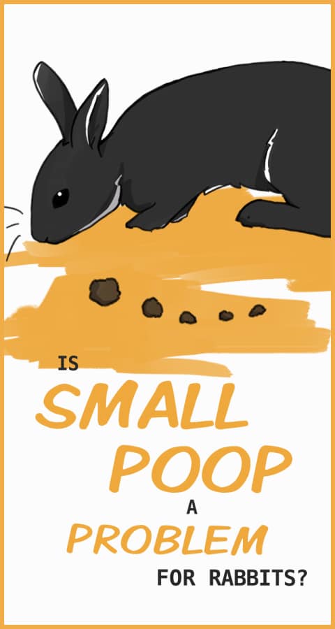Is Your Rabbit's Poop Too Small?