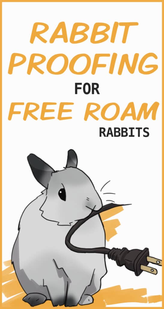 How to Rabbit Proof for a Free Roam Bunny