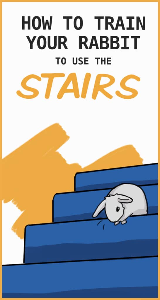How to Train a Rabbit to Use the Stairs